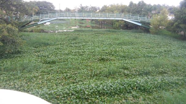 Limpian río Zula para evitar proliferación del dengue