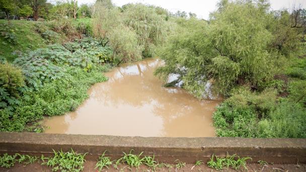 Protección Civil de Ocotlán activa protocolo ante desbordamiento de río ...