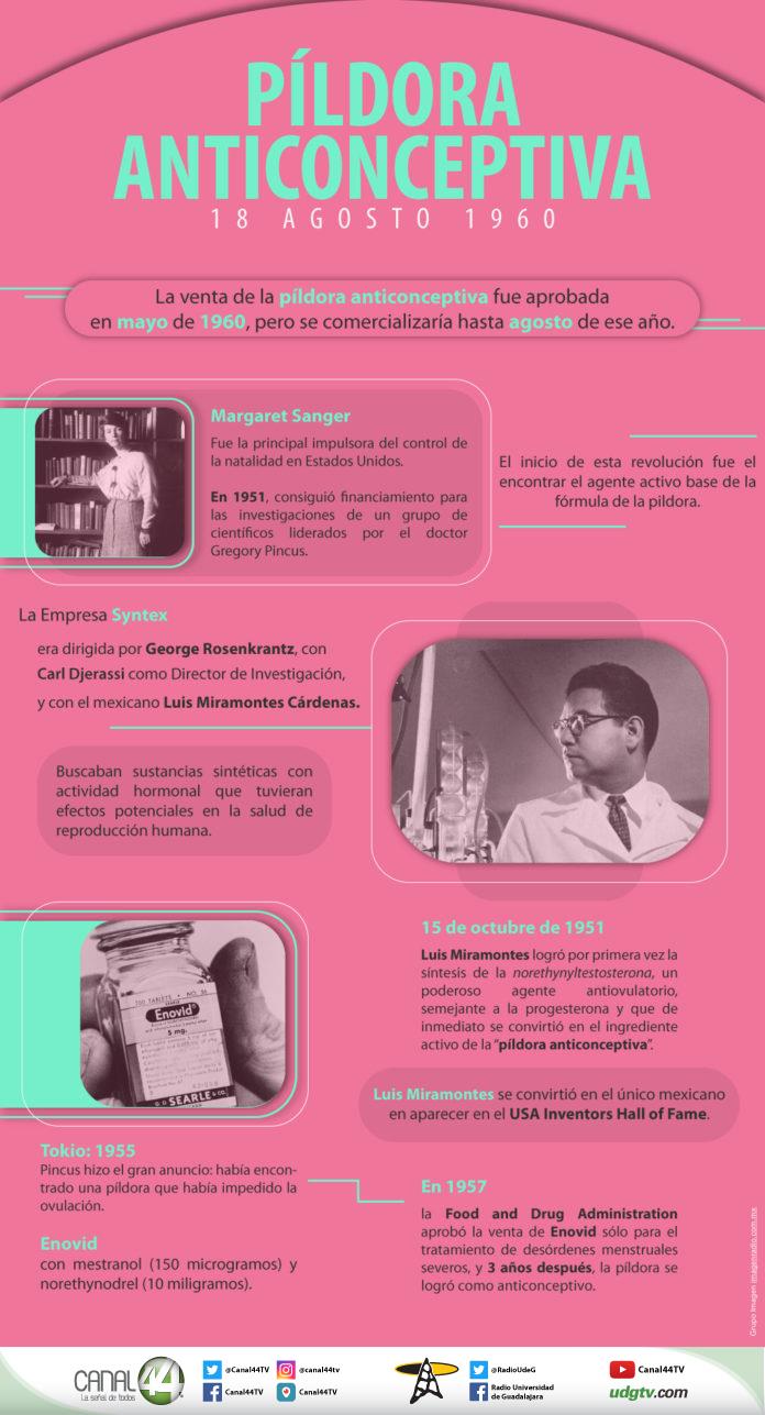 Infografía | El 18 de agosto de 1960 se comercializó por 1ra vez la píldora anticonceptiva