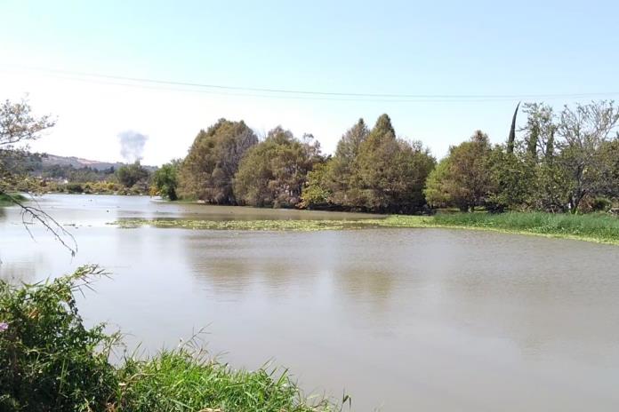 Existe en cámara baja iniciativa para desazolve del río Zula y Santiago