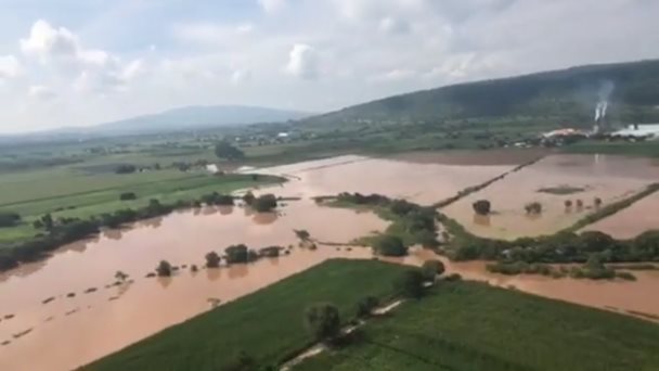 Desborde del río Zula afecta a más de 800 hectáreas de producción
