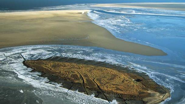 Diez años de patrimonio mundial: el Mar de Wadden, una región natural única